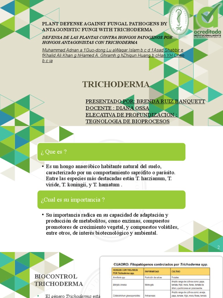 Trichoderma: Biocontrol de Hongos Patógenos | PDF | Hongo | Control biológico de plagas