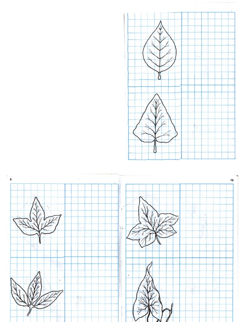 Yo Dibujo | PDF
