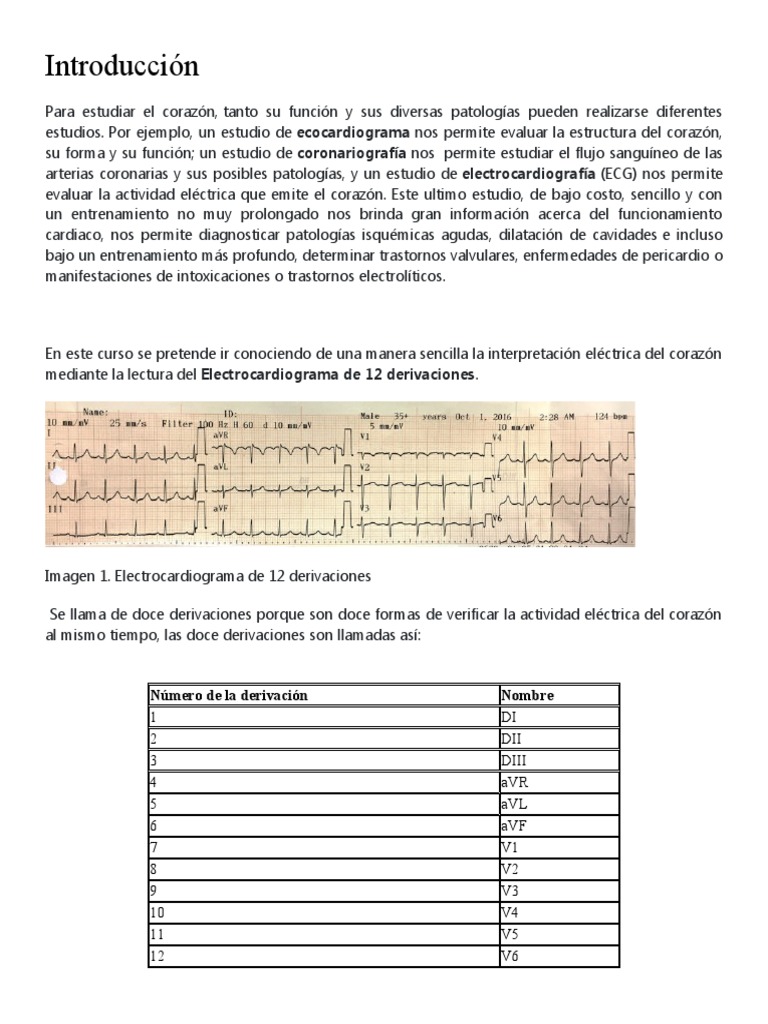 EKG Básico | PDF | Electrocardiografia | Sistema cardiovascular