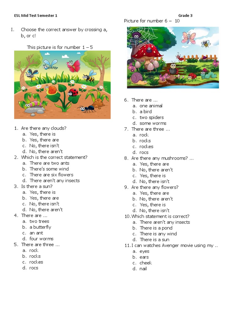 ESL Mid Test Semester 1 Grade 3 | PDF | Human Head And Neck