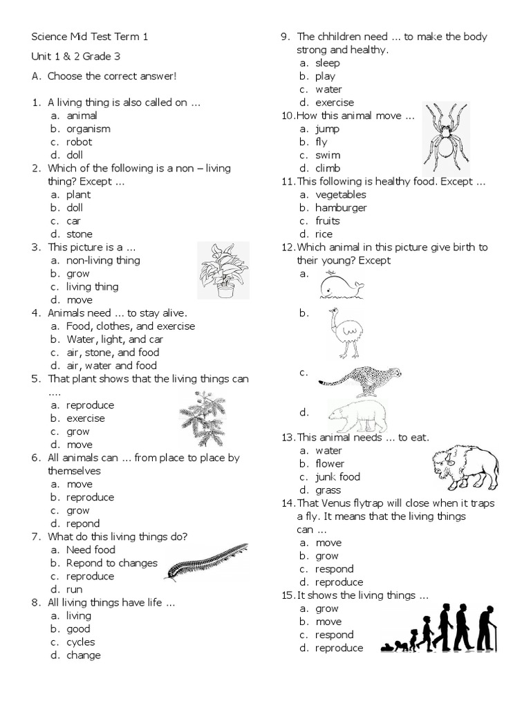 Science Mid Test Term 1 Unit 1 and 2 Grade 3 | PDF | Organisms