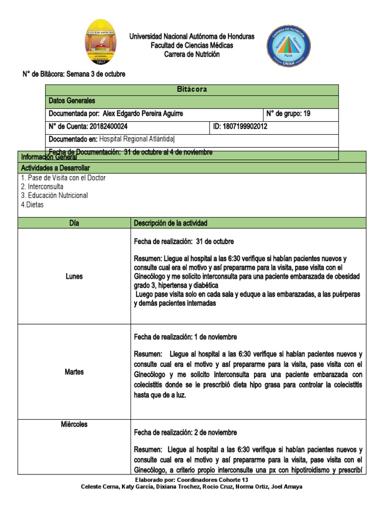 Formato Bitacora | PDF | Cuidado de la salud | Especialidades Medicas