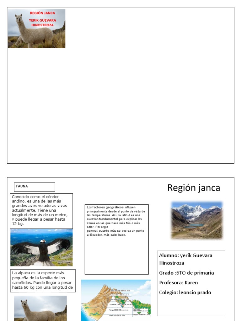 Triptico Region Janca | PDF | Ciencias de la Tierra | Fenómenos de la tierra