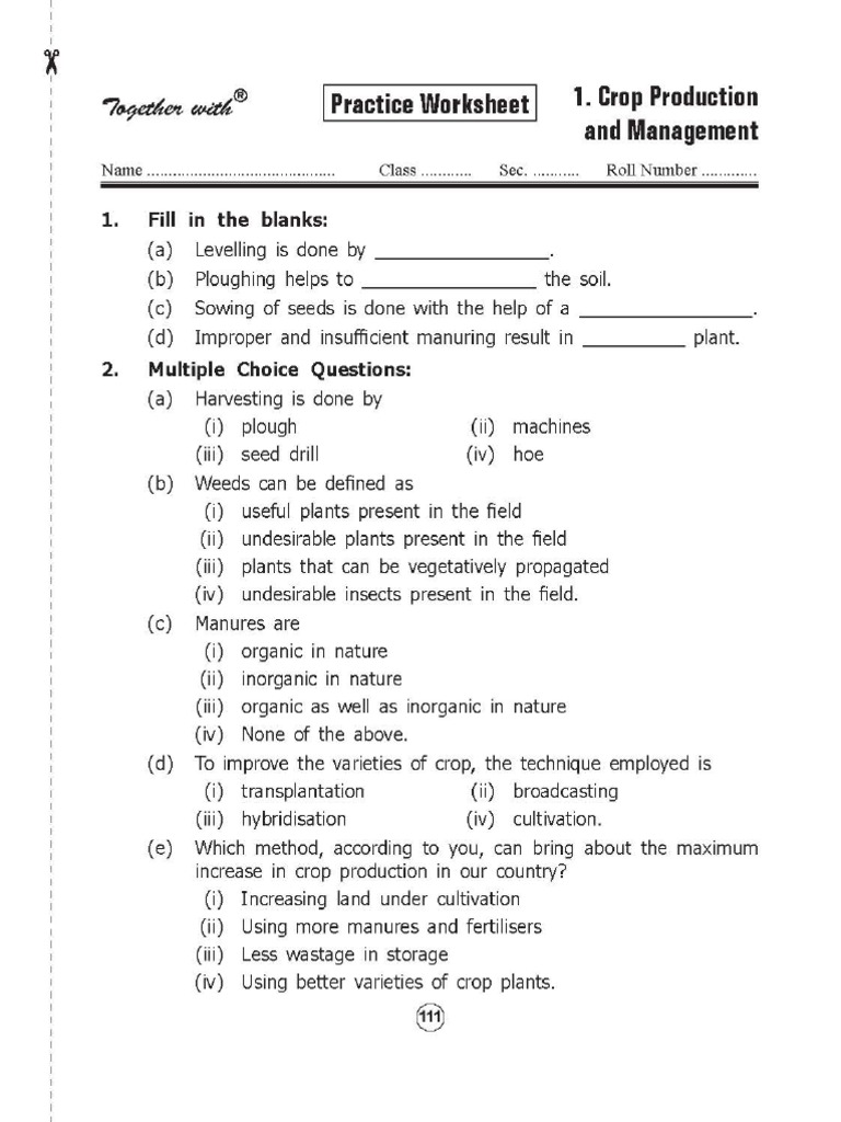 Practice Worksheets Science | PDF