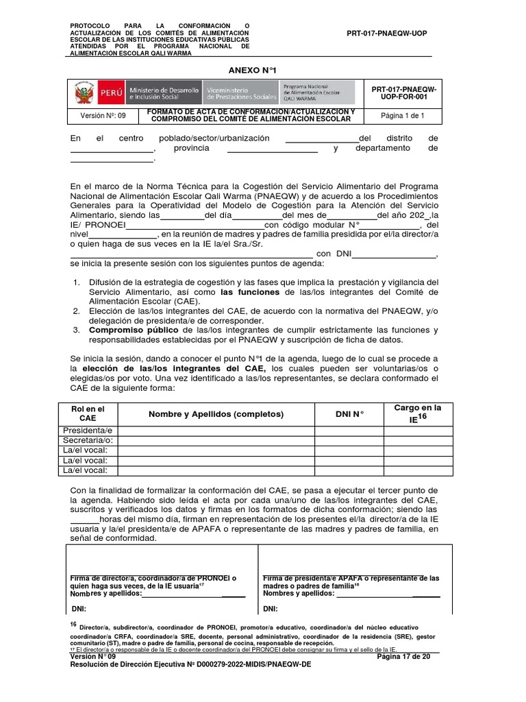 Formatos Del Cae | PDF | Privacidad de la información