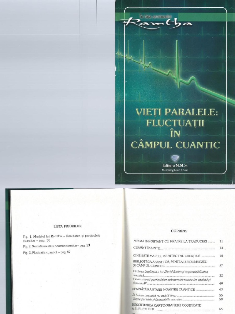 9 Vieti Paralele Fluctuatii in Campul Cuantic PDF Free | PDF
