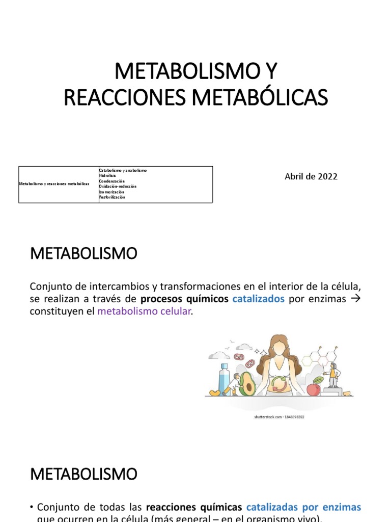 Reacciones metabólicas y tipos de metabolismo celular | PDF ...