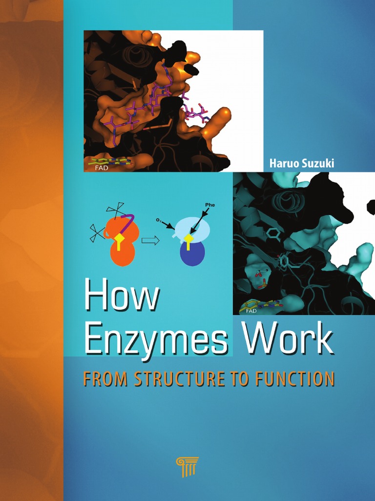 How Enzymes Work - From Structure To Function (2015) | PDF | Polymerase ...