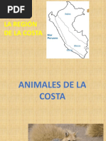 Cuento El Unicornio Ulises | PDF