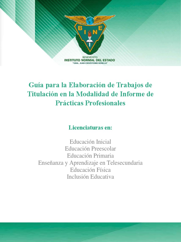 Guía Informe de Prácticas Profesionales | PDF | Evaluación | Plan de estudios