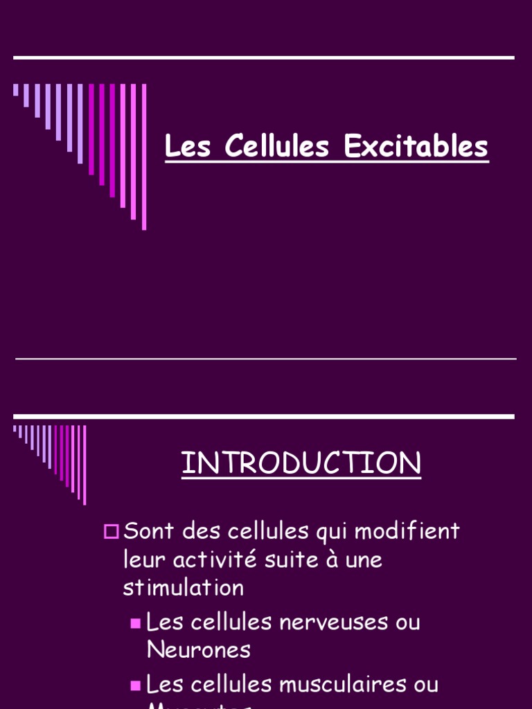 Chapitre Iv Les Cellules Excitables | PDF | Synapse | Nerf