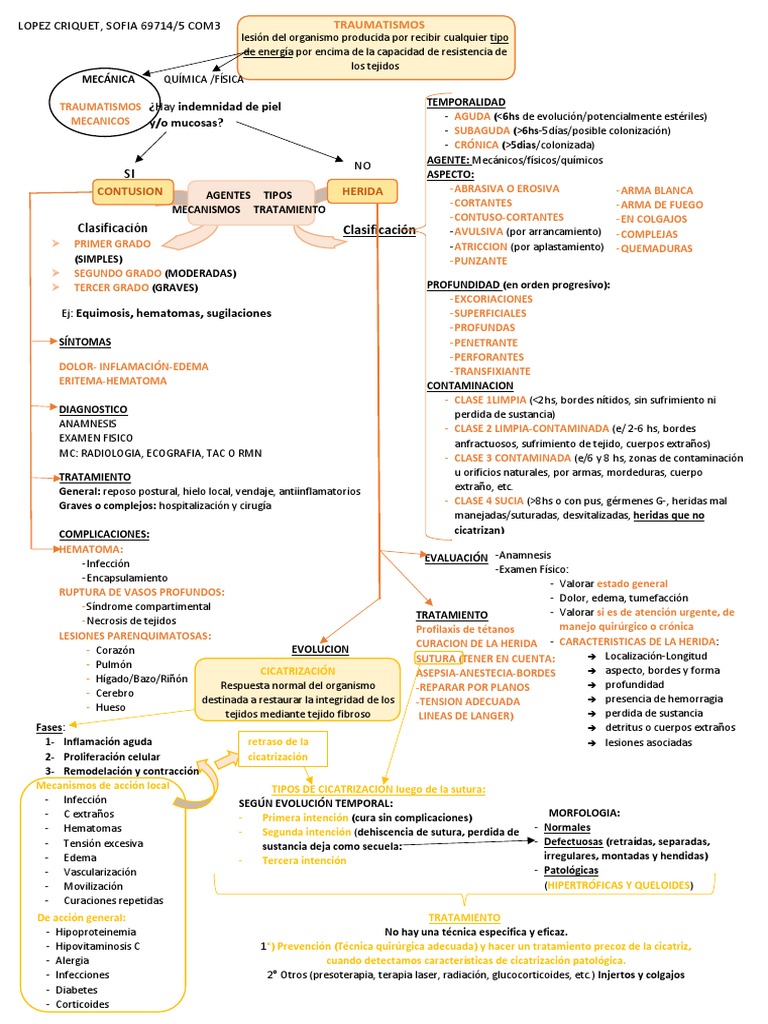 Mapa Conceptual Traumatismos | PDF | Cicatrización de la herida | Herida