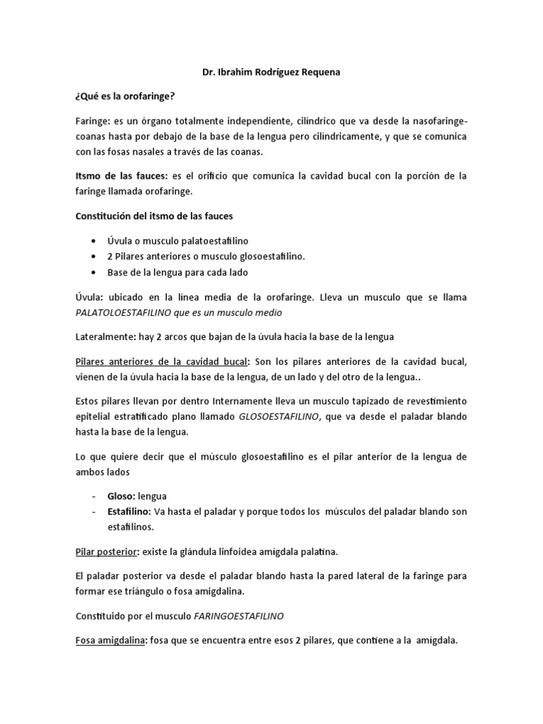 Anatomía de la Orofarínge | PDF | Sistema digestivo | Boca