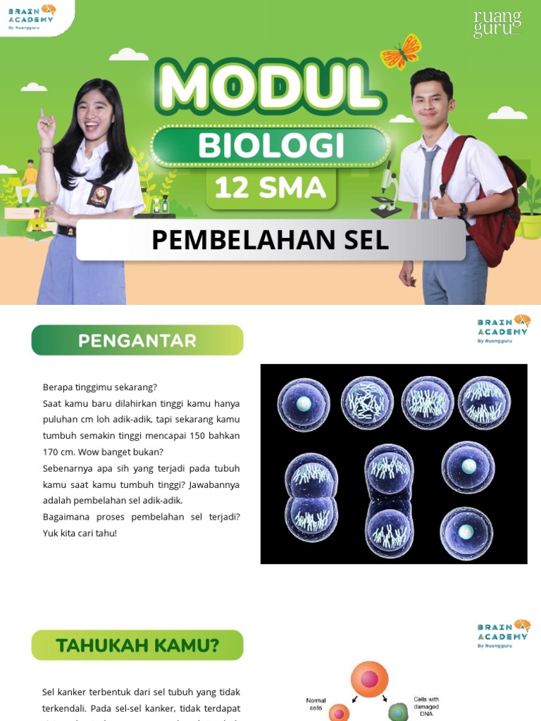 Biologi - 12 SMA - Pembelahan Sel | PDF