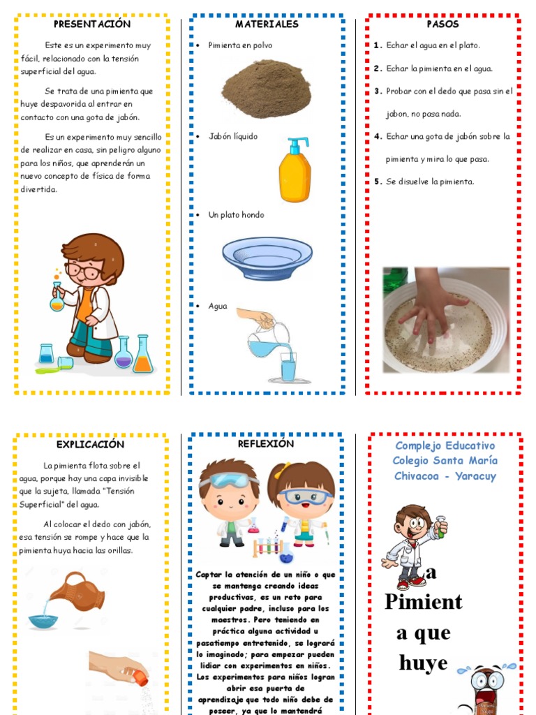 La pimienta que huye: experimento fácil | PDF | Agua