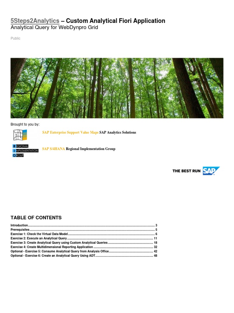Hands-On Document - Step04 - Analytical Query & Web Dynpro Grid | PDF | Screenshot | Computing