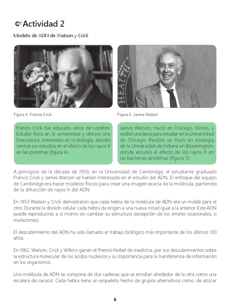 Biologia 20 de Abril 22 | PDF | Adn | Francis Crick