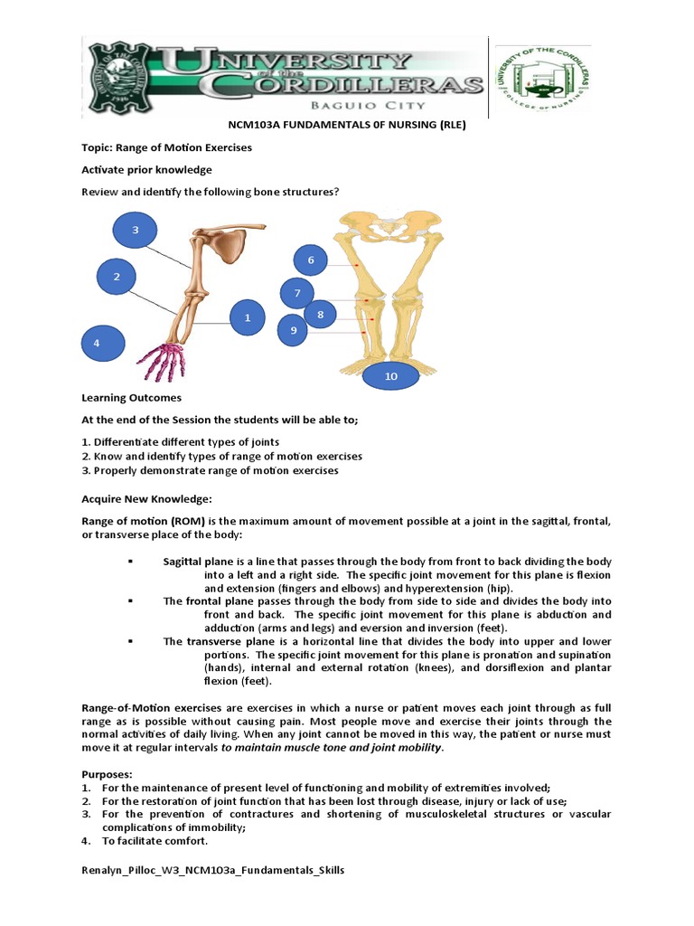 Nursing Guide to Range of Motion Exercises | PDF | Anatomical Terms Of ...