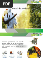 Ficha Técnica-Rodent Cake | PDF | Roedor