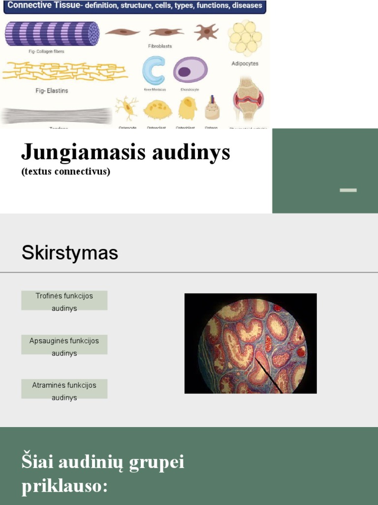 Jungiamasis Audinys | PDF