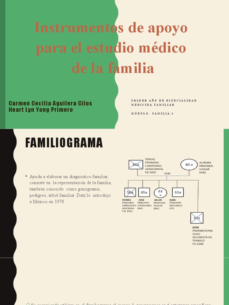 Instrumentos de Evaluacion Familiar | PDF | Evaluación | Familia