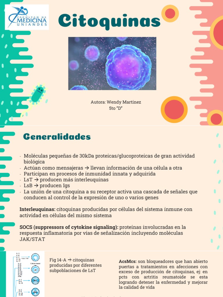 Citoquinas Inmunología | PDF | Citocina | Inflamación
