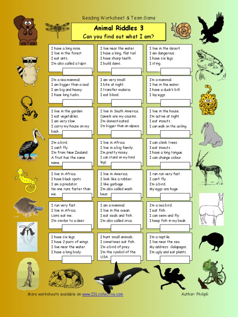 Animal Riddles 3 Hard Fun Activities Games - 714 | PDF | Pinniped | Birds