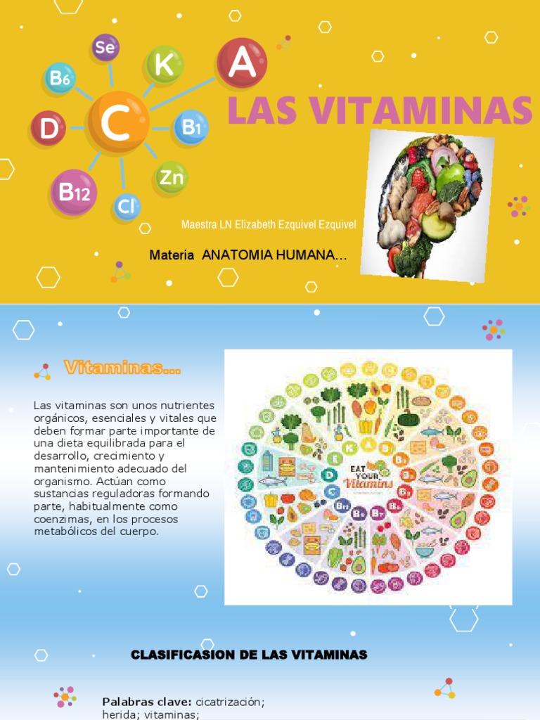La Importancia De Las Vitaminas Para El Cuerpo Humano Pdf Vitamina Nutrientes