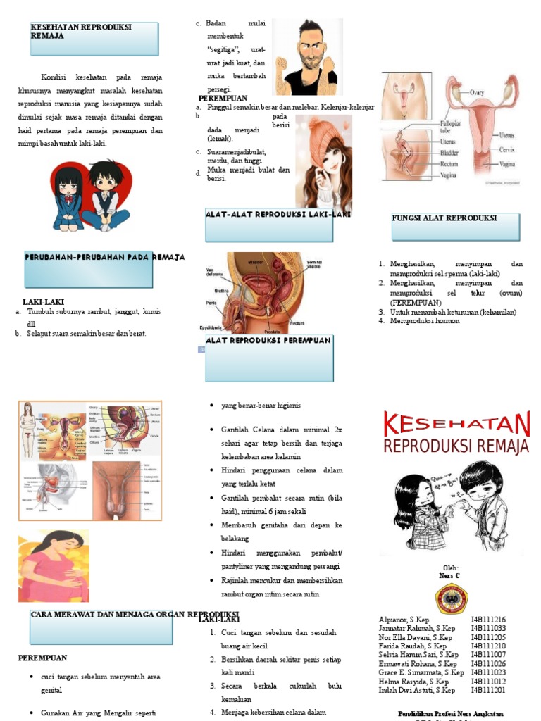 Leaflet Kesehatan Reproduksi Remaja | PDF