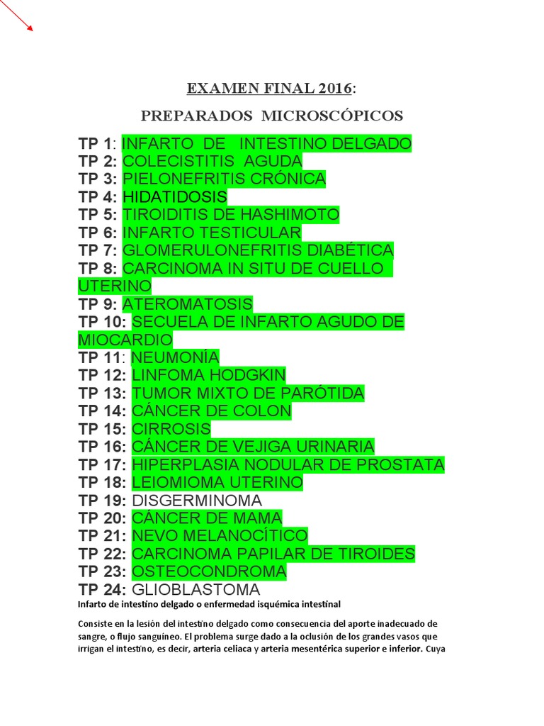 Infarto de Intestino Delgado o Enfermedad Isquémica Intestinal | PDF ...