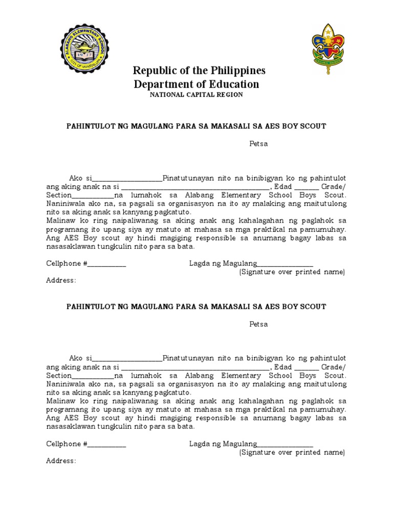 Boys Scout Waiver | PDF