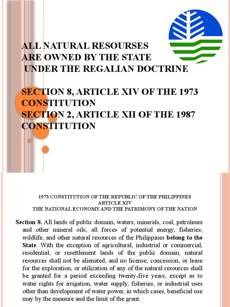 1 PD 705 ELE-EO 23_Chainsaw | PDF | Forestry | Crimes