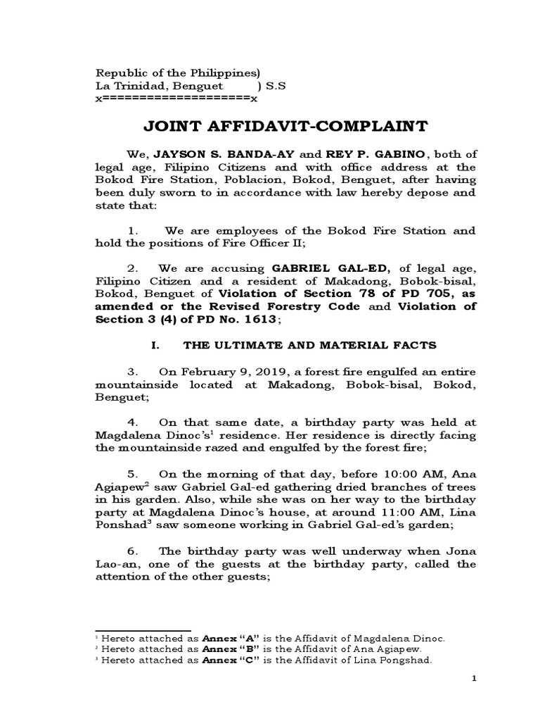 Joint Affidavit Complaint (Sample) | PDF