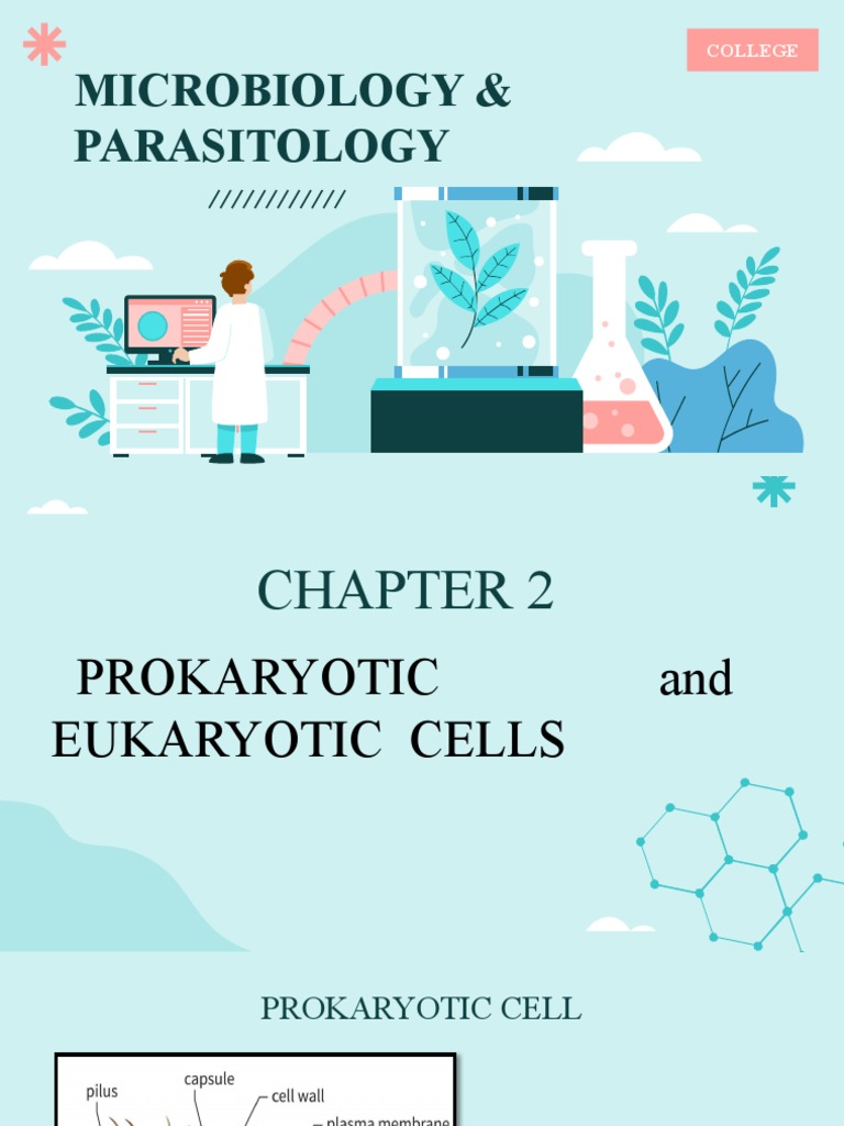 Chapter 2 Prokaryotic and Eukaryotic | PDF | Cell (Biology) | Eukaryotes