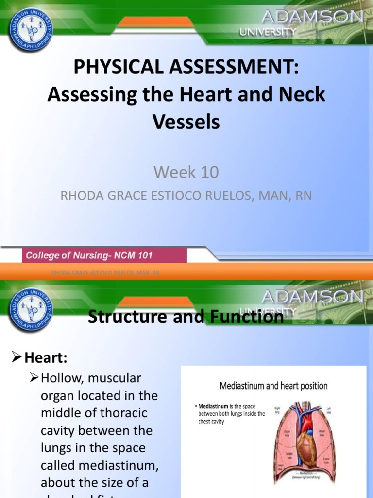 Week 10 Assessing Heart And Neck Vessels Pdf Heart Valve Heart