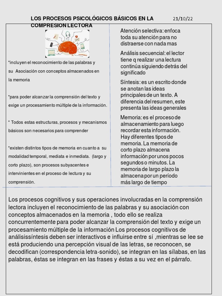 Los Procesos Psicológicos Básicos | PDF | Memoria | Sicología