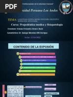 RPS Form Blanco | PDF