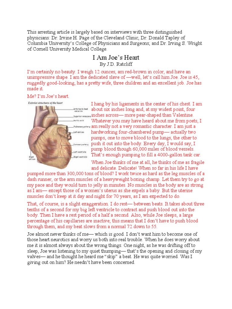 Joe's Heart | PDF | Artery | Heart