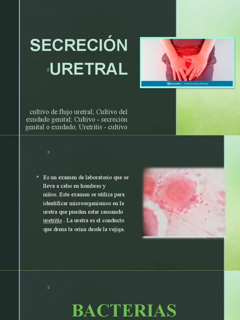 Secrecion Uretral Aracely | PDF | Escherichia coli | Vejiga urinaria