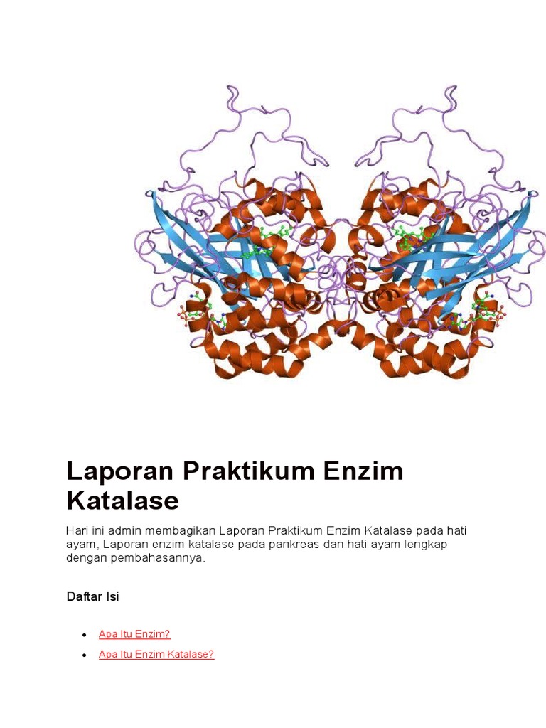 Contoh Laporan Praktikum Enzim Katalase | PDF | Kesehatan Holistik