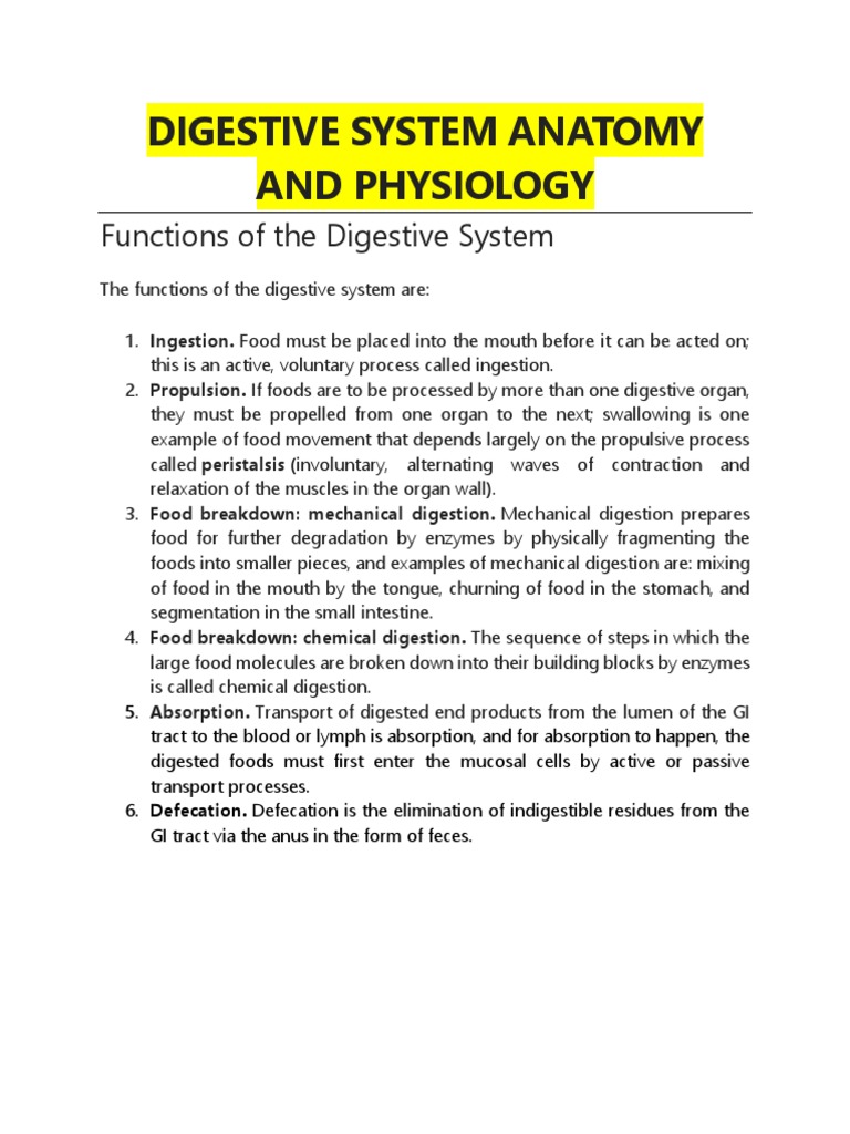 Digestive System Anatomy Physiology | Download Free PDF | Stomach ...