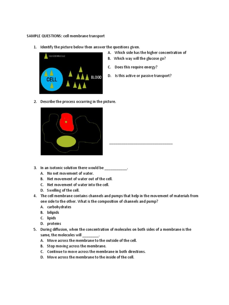 Understanding Cell Membrane Transport: Sample Questions on Diffusion ...