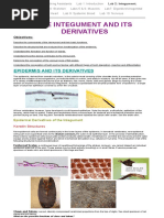 Integumentary System of Animals | PDF | Skin | Integumentary System