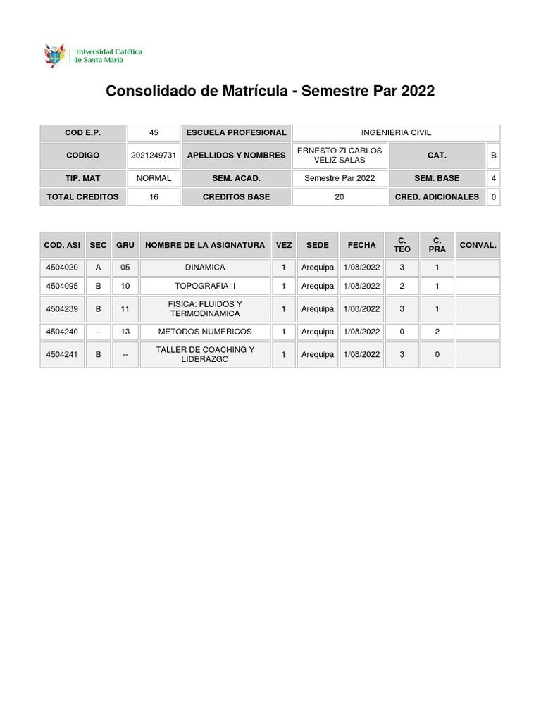 Consolidado Matriculas | PDF