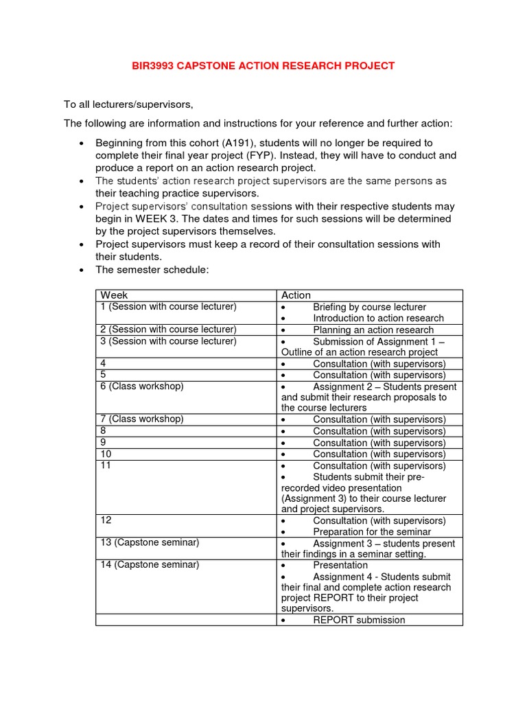 BIR3993 CAPSTONE ACTION RESEARCH PROJECT (Instructions) | PDF | Apa ...