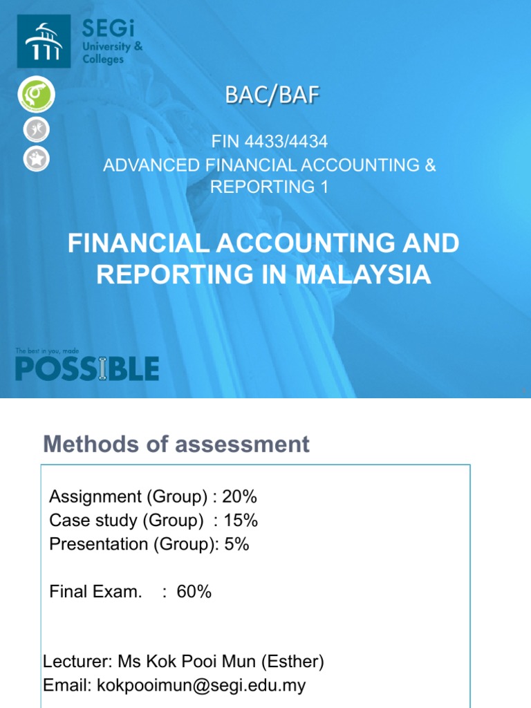 L1 Reporting Environment | PDF | Accounting | International Financial Reporting Standards