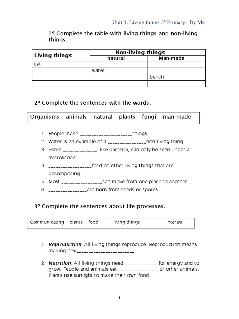 Exam Unit 3 | PDF | Life | Plants