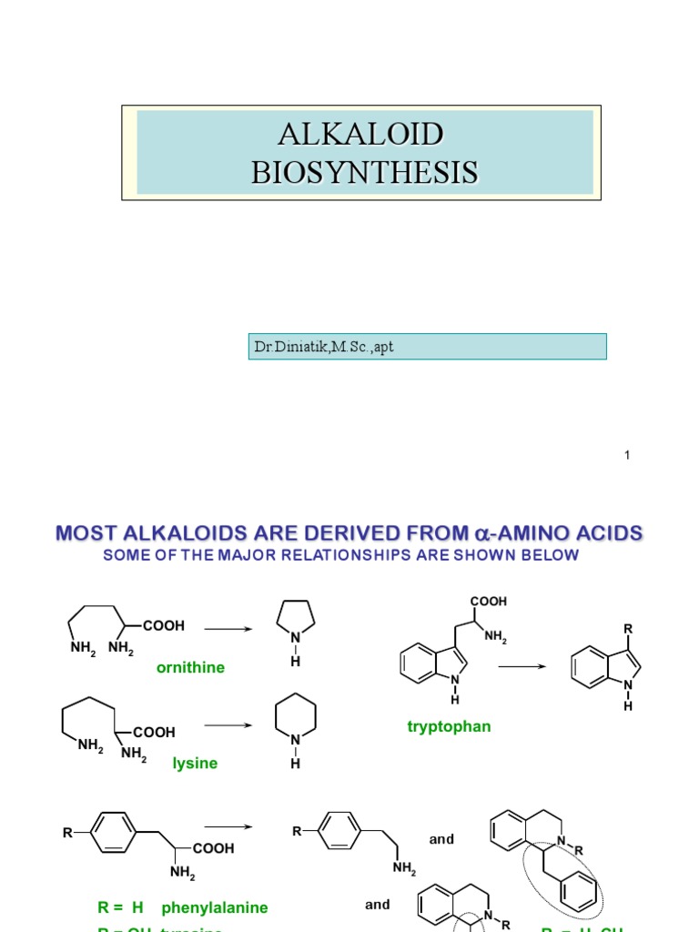 Alkaloid 2 | PDF | Alkaloid | Amine