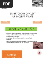 Cleft Lip and Palate - PPT - Orthodontics | PDF | Human Nose | Face