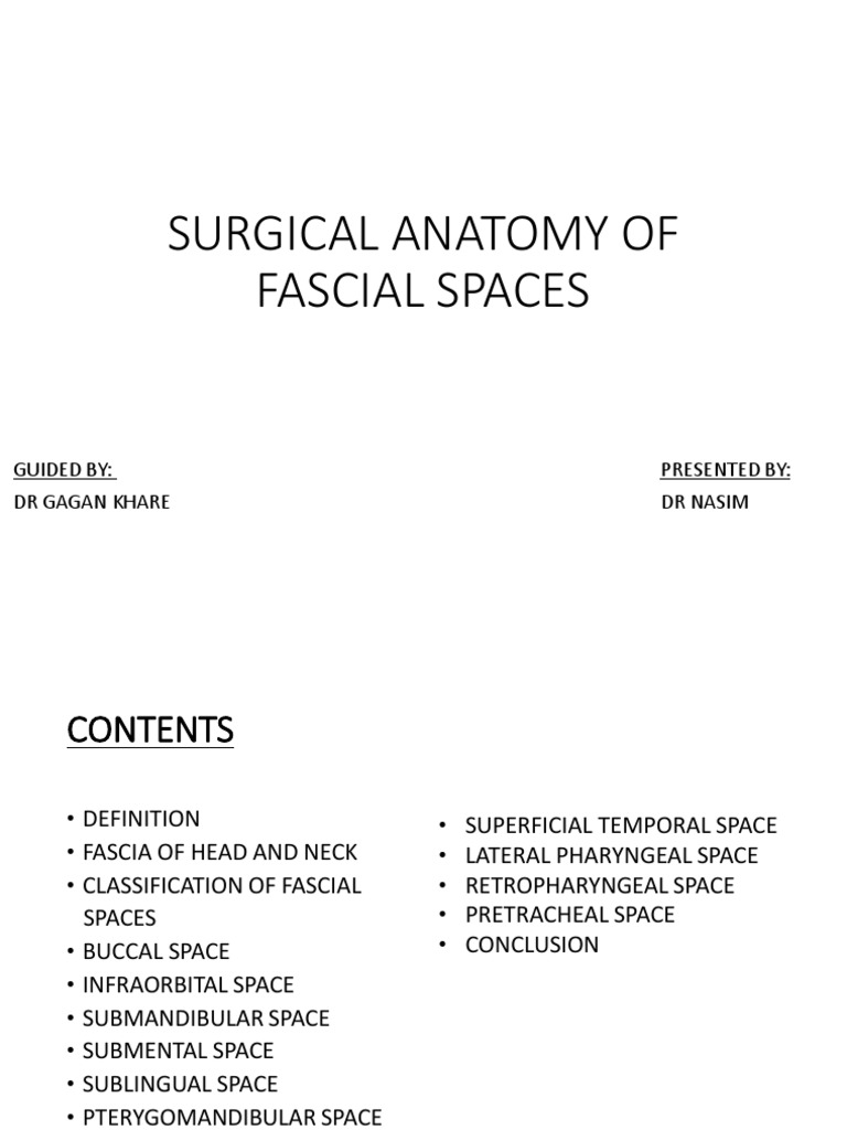 Fascial Spaces of Head and Neck | PDF | Common Carotid Artery | Neck